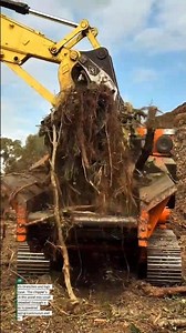 Wood Chipping Process with Excavator and Wood Chipper | Educational Video