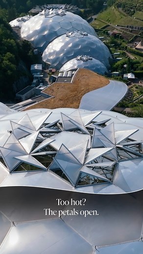 Our Biomes look beautiful but are also purpose-built to help our plants thrive. 🌱😊 | Eden Project
