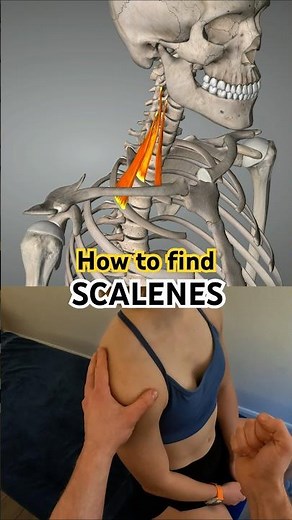 How to find the Scalenes 💆‍♂️ Anatomy palpation tutorial for the Scalenes