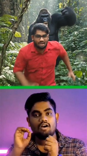 Ashwin on Instagram: "😱 Animals speed comparison #animal #reels #viral #animalsspeed #animalsspeedcomparison"