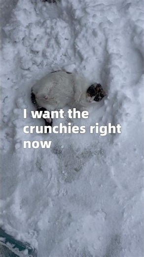 The 3 AM Hunger Crisis