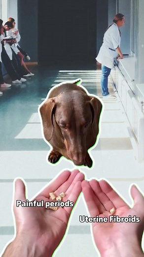 Uterine Fibroids and Fertility: What You Should Know Uterine...