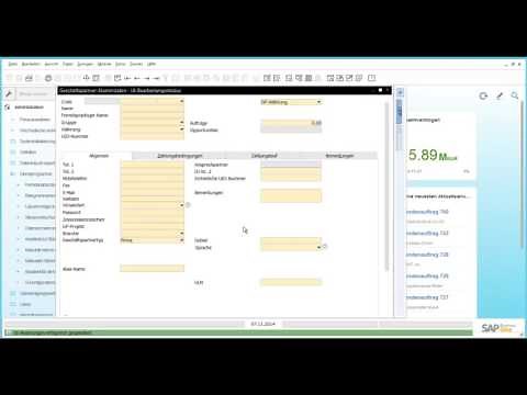 SAP Business One 9.1 - Customizing the UI