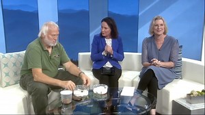 Exploring Wild WNC: Spiders