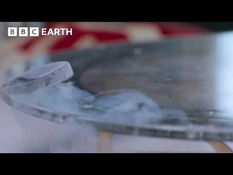 How Important Is Temperature? | BBC Earth Science