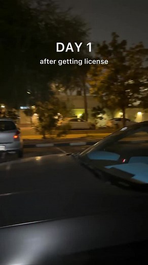 291K views · 4K reactions | Journey of Pro Driver  | sabinekleckova | Facebook