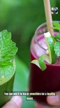 Java Burn Review Can This Coffee Hack Really Burn Fat Fast