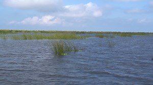 11K views · 98 reactions | VLOG ALERT!! @Congressman Brian Mast is...