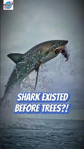 🦈 Sharks Existed Before Trees 🌳 | Mind-Blowing Ancient Fact #facts