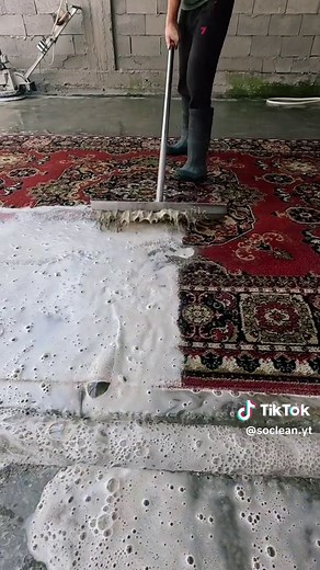 #satisfying #asmr #carpetcleaning #carpet