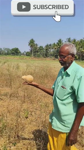 Mohandas Water diviner #shorts