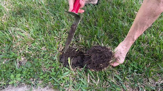 Watch HONEST Review of the Lesche Digging Tool / Sod Cutter on Amazon Live