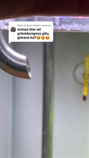 Replying to @Ilham Habo semoga membantu kak🙏😇 #aquascapepemulaindonesia #aquascapeminimalis #inlinediffuser #filtercanisterdiy