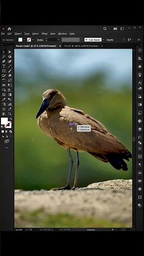 How to make vector art from photos #AdobeIllustrator #Tutorial