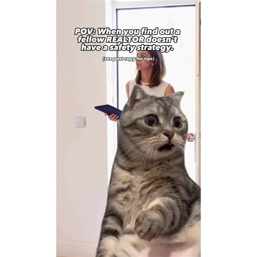 New year and timeless reminder. Always have a safety strategy! Here are some examples: ✨ Always meet new clients at the office or in a neutral location, like a coffee shop. ✨ Share your schedule with a colleague, assistant, or family member. ✨ Do not overshare about your personal life. ✨ Do not host open houses alone. ✨Check your cell phone battery and signal before heading to an appointment. ✨ Never go into attics, crawl spaces, or garages where you could be trapped. What tip would you add? | N