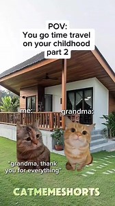 210K views · 9.5K reactions | CAR MEMES  You go time travel on your childhood part 2 #memes #relationship #grandma #cat #funny #relatable #family #CatMemes #Relationships #life #timetravel | Cat Memes Shorts | Facebook