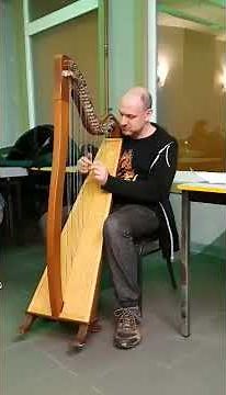 New Years Reception 2025 - little harp performance (part 1)