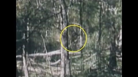 Honey Island Swamp Monster