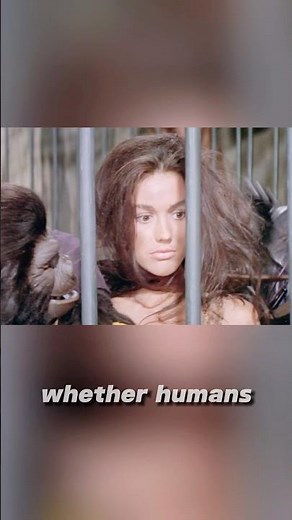 When humans became the monkeys in the zoo!