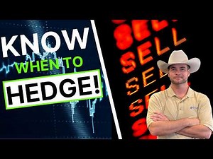 Broken Trend Lines? PROTECT Your Portfolio with These 7 Contras! | VectorVest