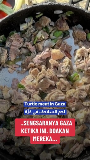 Exploring Turtle Cuisine in Gaza: A Unique Perspective