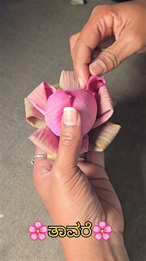 How to flod lotus esaliy