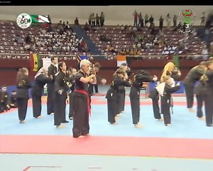 63K views · 2.6K reactions | البطولة العالمية للفوفيتنام | مشاركة 13 دولة في منافسات الطبعة الثالثة | Télévision Algérienne - المؤسسة العمومية للتلفزيون الجزائري | Facebook