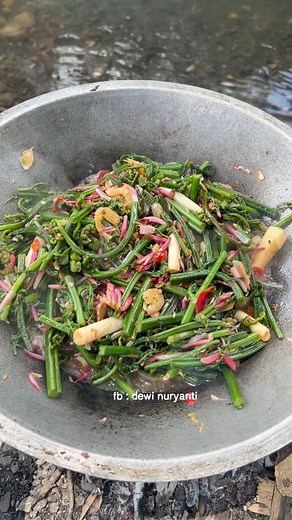 combo ternikmat pakis hijau campir bunga kecombrang makannya di tepi sungai #food #sayurliat #cooking | Dewi Nuryanti
