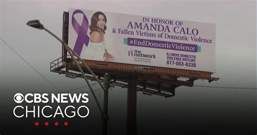 Chicago and Cook County forming new domestic violence task force