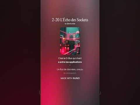 2 20 L'Écho des Sockets