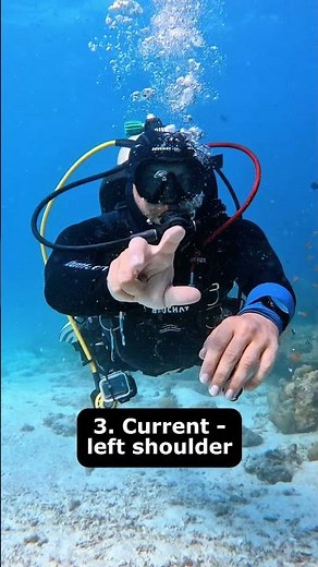 5 Must-Know Hand Signals for Current Diving 🌊