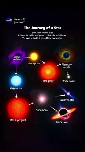 The Journey of a Star: Life, Death, and Rebirth