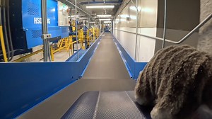 Armie the Armadillo is on the move! 🤠 Mayor Kirk Watson stopped by to give Armie a proper send-off as he helped test AUS’s new outbound baggage handling system, now fully operational and processing up to 4,000 bags per hour! 🧳 This high-tech system is part of the Journey With AUS expansion program and spans 1.5 miles of upgraded conveyor belts and equipment, helping reduce flight delays and improve reliability for travelers. ✈️ Come ride along with Armie and see what it looks like from a bag’s