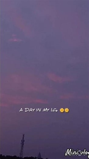 A day in my life 🌼✨️🍁MorningVlog #DailyRoutine #PeacefulMorning #MiniVlog #DailyVlog 3