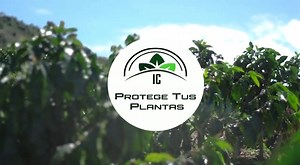 1K views | Si tus plantas están siendo atacadas por plagas de...