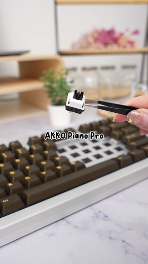 Discover the Latest AKKO Switches for Your Mechanical Keyboard!