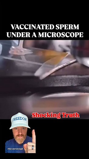 4.2K views · 49 reactions |  What microscopes are revealing might...