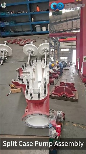 Horizontal Split Case Pumps Assembly