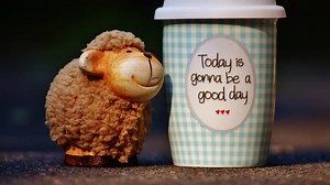 20 Quotes to Replace Despair With Positivity