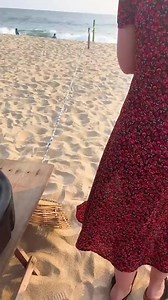 Hero Helps Baby Turtles Get To Ocean 🐢 | Rescue Turtles