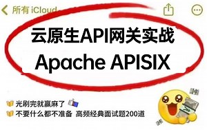 云原生API网关Apache APISIX实战超详细教程，APISIX整合Nacos/集成Skywalking实战！（2025最新版）