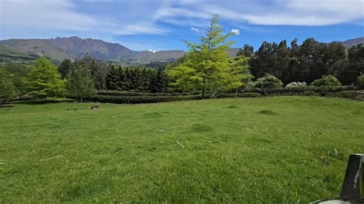 7.4K views · 182 reactions | It would appear that the frame rate on my phone is a bit low. When slowed down to 1/4 speed, it glitches and looks like AI #nzferreter #nzrabbiter #workingdogsnz #workingdogsofinstagram | Jim’s Bunny Hunters Ltd | Facebook