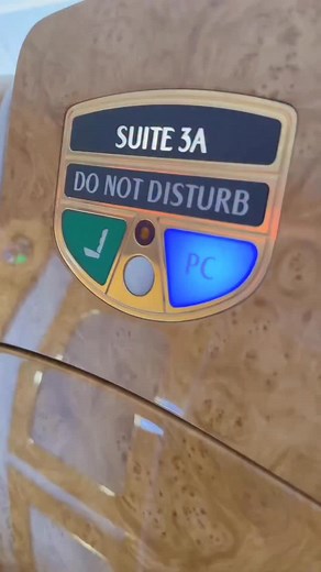 What would you do if you saw this dog in first class? 🥂🐾 Just supervising the caviar service, promise. ✈️💅 dog first class first class flight luxury travel dog travel with dogs Emily the Yorkie dog travel worlds most traveled dog | Traveling with a Dog