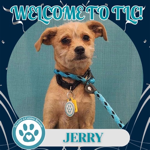 1.6K views · 41 reactions |  New Faces, New Beginnings  This past...