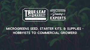 MICROGREENS SEEDS, SUPPLIES & KITS - New Hobbyists To Commercial Growers: 🌿🌿 ✔ Huge Selection of Seeds ✔ Non-GMO, Conventional & Organics ✔ Microgreens Starter Kits ✔ Growing Supplies ✔ Bulk Wholesale Available ✔ Free S&H - 5 Star Reviews ⭐⭐⭐⭐⭐ | True Leaf Market