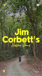 Adhwan Kapoor on Instagram: "Jim Corbett is so much more than just a jungle safari! I discovered some hidden gems in Jim Corbett, prancing in my Mochi shoes and found some picture perfect places to strike my best poses. Here’s a few elements to make your summer story fresh and unique so pick a weekend and go make some memories!! ☀️☀️☀️ . . . . . . . . . . (Summer Guide, Travel, Shoes, Jim Corbett, Footwear, Summer Stories, Summer Fits)"