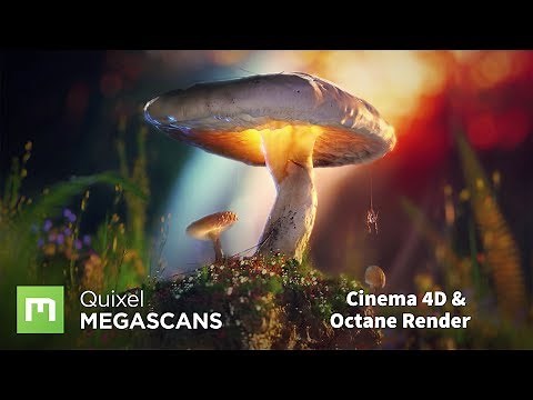 How to create scenes using Megascans with Octane and Cinema 4D