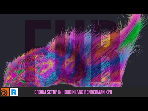 Quick Guide to Creating Fur in Houdini, Solaris & RenderMan