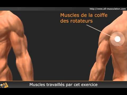 L-fly / auto-stop avec haltère (exercice pour la coiffe des rotateurs)