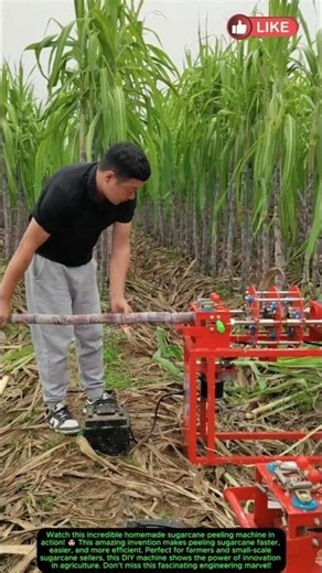 This Man Made Sugarcane Peeling Machine 🤯 | Amazing Homemade Invention